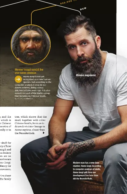 Homo longi may change the human family tree - PressReader