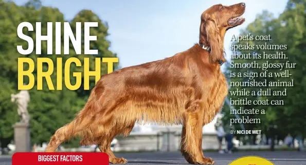 SHINE BRIGHT - PressReader