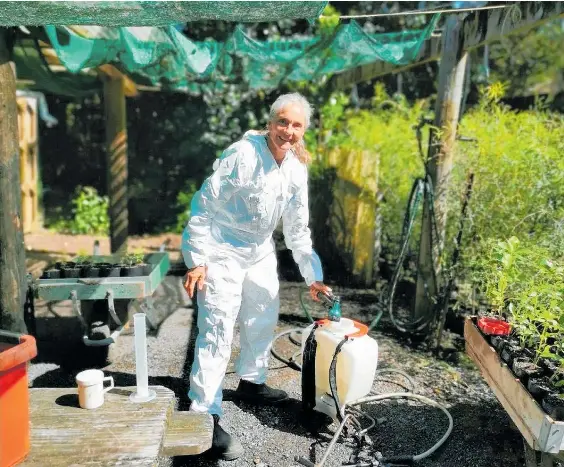 Volunteers’ 25 years in the shade - PressReader