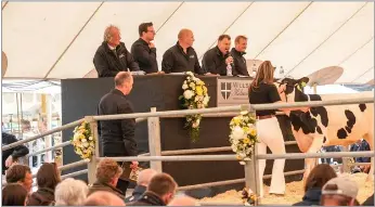 Willsbro calf tops Premier Herd sale at 7000gns - PressReader