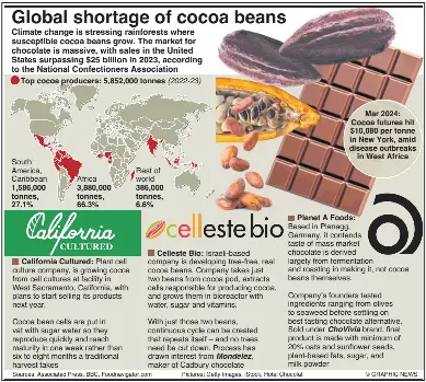 Global shortage of cocoa beans - PressReader