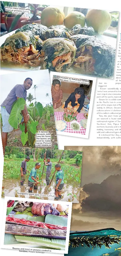 THE ROUROU STORY - PressReader