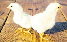 Teen mom defying stereotype­s as she tackles entreprene­urship ...