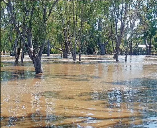 La Niña set to bring the wet - PressReader