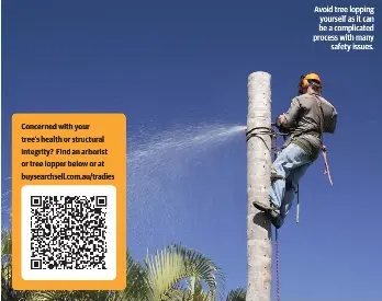 are your trees a safety hazard? - PressReader