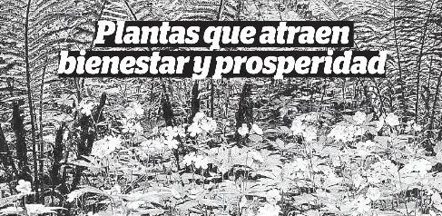 EL DATO IMPORTANTE - PressReader