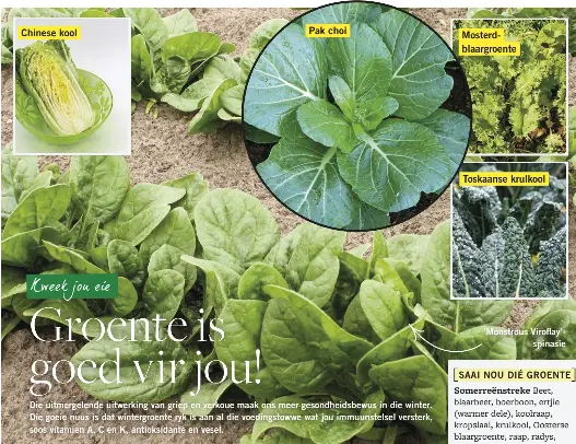 Groente is goed vir jou! - PressReader