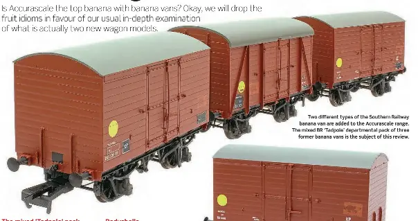 Accurascal­e goes bananas over SR vans Bodyshells - PressReader