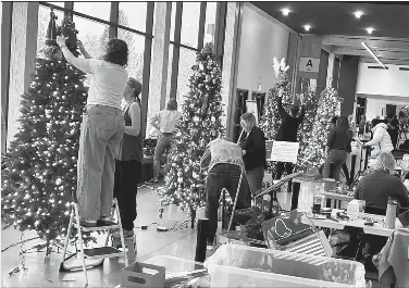 TREE FOR THE SHOW - PressReader