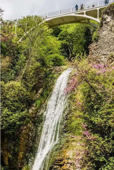 CHECKING IN WITH IA PARULAVA - PressReader