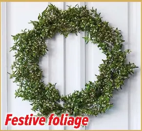 Festive foliage - PressReader