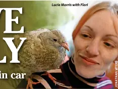 PIGEONS MOVE IN WITH FAMILY - PressReader