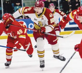 Milo Roelens sous contrat à Tampa Bay - PressReader