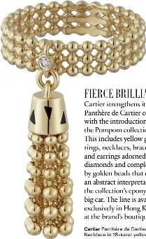 FIERCE BRILLIANCE - PressReader