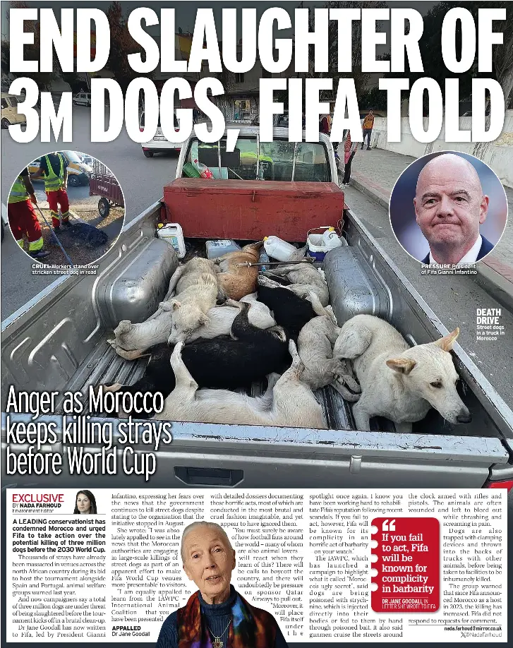 END SLAUGHTER OF 3M DOGS, FIFA TOLD - PressReader