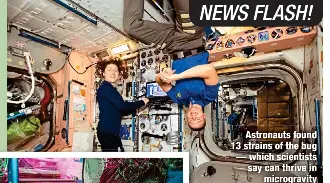 IT CAME FROM OUTER SPACE! - PressReader