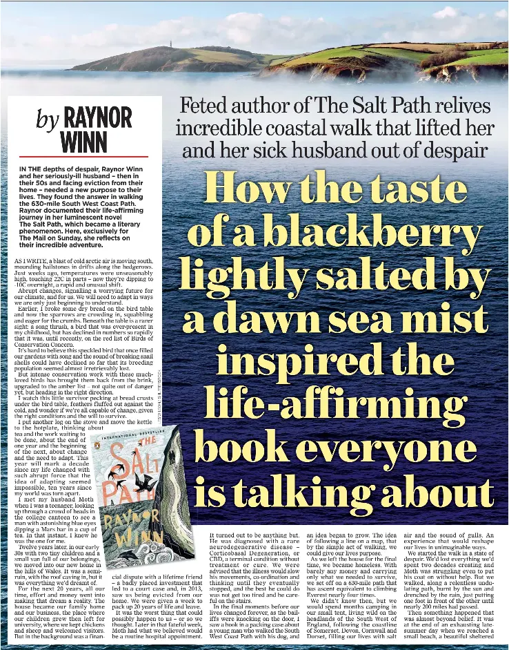 How the taste of a blackberry lightly salted by a dawn sea mist inspired the life-affirming book ...