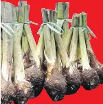 Dalo chips the next big thing for FMF Foods - PressReader