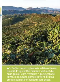 Die storie van koffie - PressReader