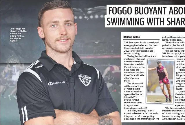 FOGGO BUOYANT ABOUT SWIMMING WITH SHARKS - PressReader