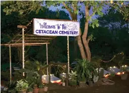 BFAR Bicol honors marine life laid to rest - PressReader