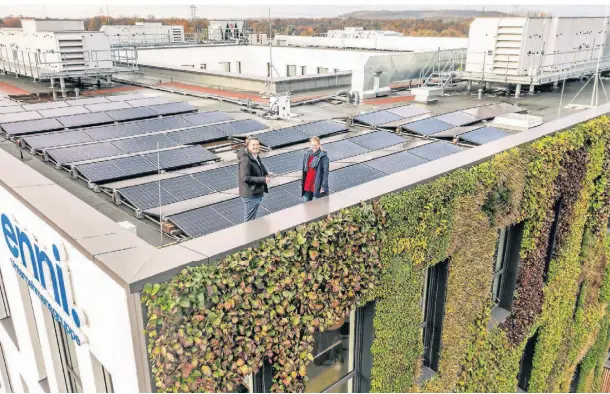 Solar-Gründach – die perfekte Kombinatio­n - PressReader