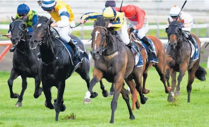 Molly Bloom out of Breeders’ Stakes - PressReader