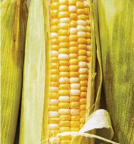 How healthy is sweet corn? - PressReader