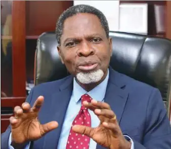 Oseni: How FG Can Drive Activities in Industrial, Medical Gases ...