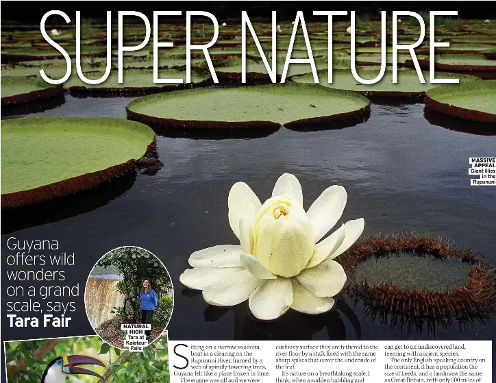 SUPER NATURE - PressReader