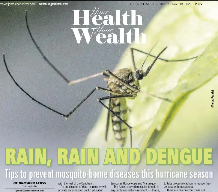 RAIN, RAIN AND DENGUE - PressReader