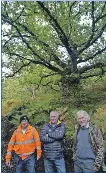 Ardgour oak honoured to mark Queen’s jubilee - PressReader