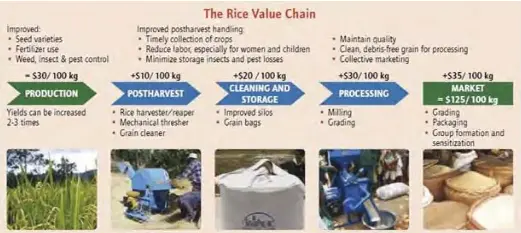 Rising rice consumptio­n in Nigeria: Farming and the value of a value chain - PressReader