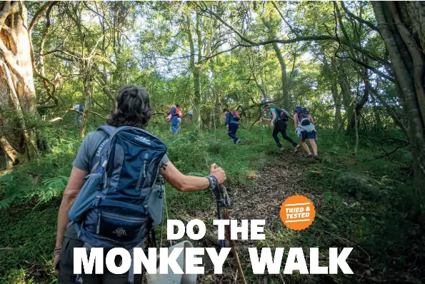 Hike a precious piece of the Dargle Valley in KZN - PressReader