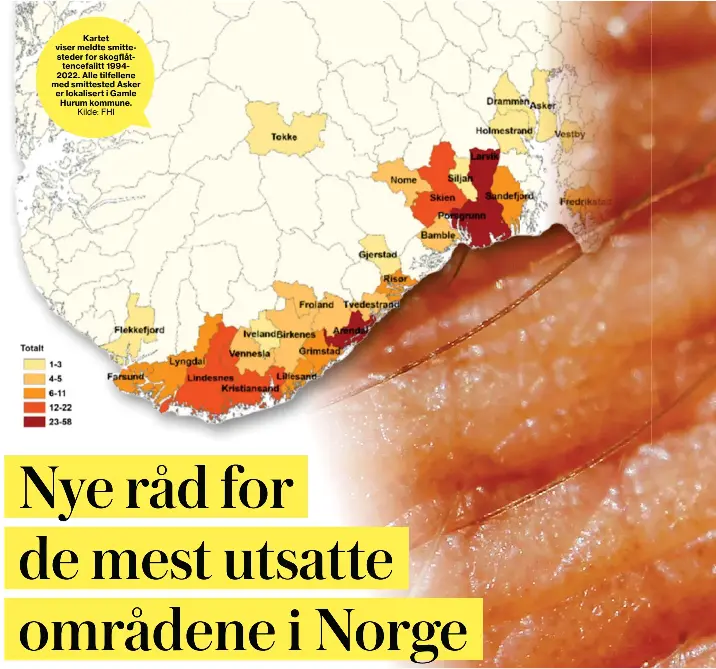 Nye råd for de mest utsatte områdene i Norge - PressReader