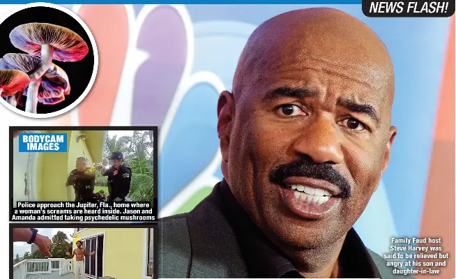 HARVEY’S FAMILY OVERDOSE HORROR - PressReader