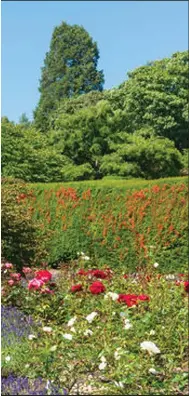 Kings and queens of the castle A tour of Aberdeensh­ire’s gorgeous ...