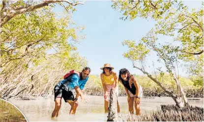 THE OTHER SIDE - PressReader