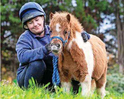 Pint-sized pony Pam and rescue mum need home - PressReader
