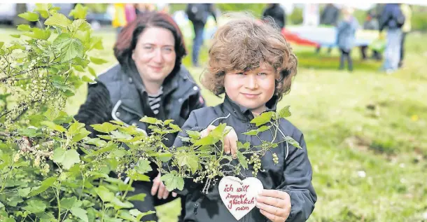 Hier wächst der erste Mutwald der Welt - PressReader