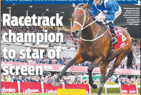 Racetrack champion to star of screen - PressReader