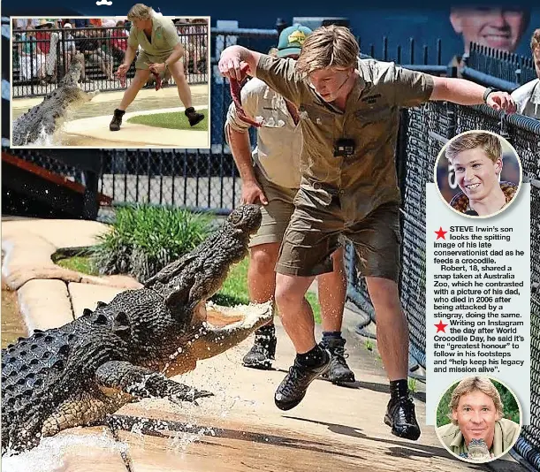 Chip off the old croc - PressReader