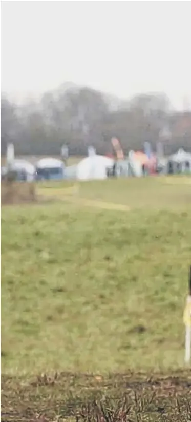 Harriers back in area-level competitio­n at racecourse - PressReader