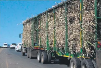 Bitter prospects for cane growers in local sugar industry - PressReader