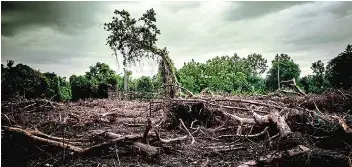 Glasgow pledge: game-changer or new betrayal? - PressReader