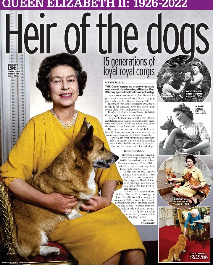 Heir of the dogs - PressReader