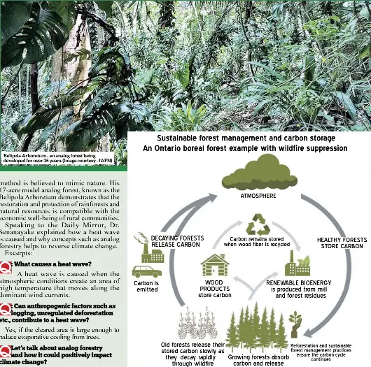 ECOLOGICAL SOLUTIONS - PressReader