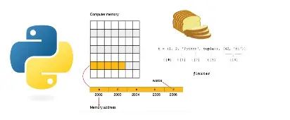 Memory Management in Lists and Tuples - PressReader
