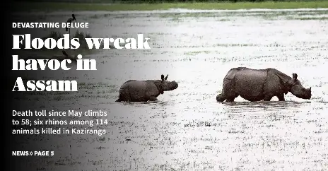 Floods wreak havoc in Assam - PressReader