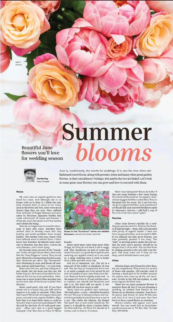 Beautiful June flowers you’ll love for wedding season Summer blooms - PressReader